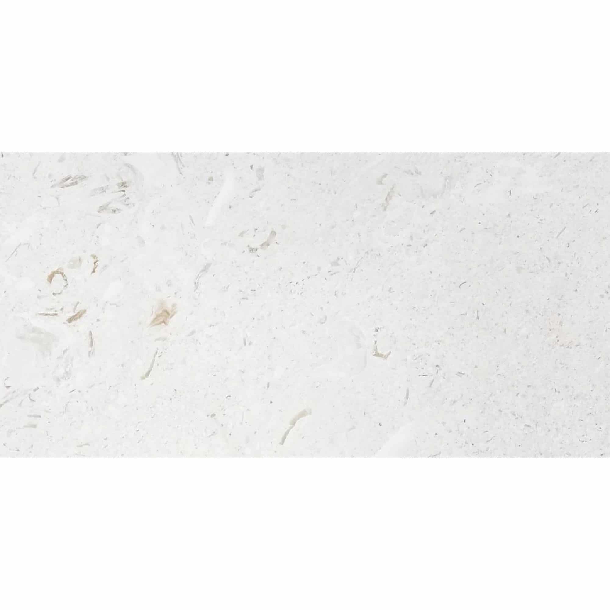 Shell Beige 12″x24″ Limestone Tile – LW Stone