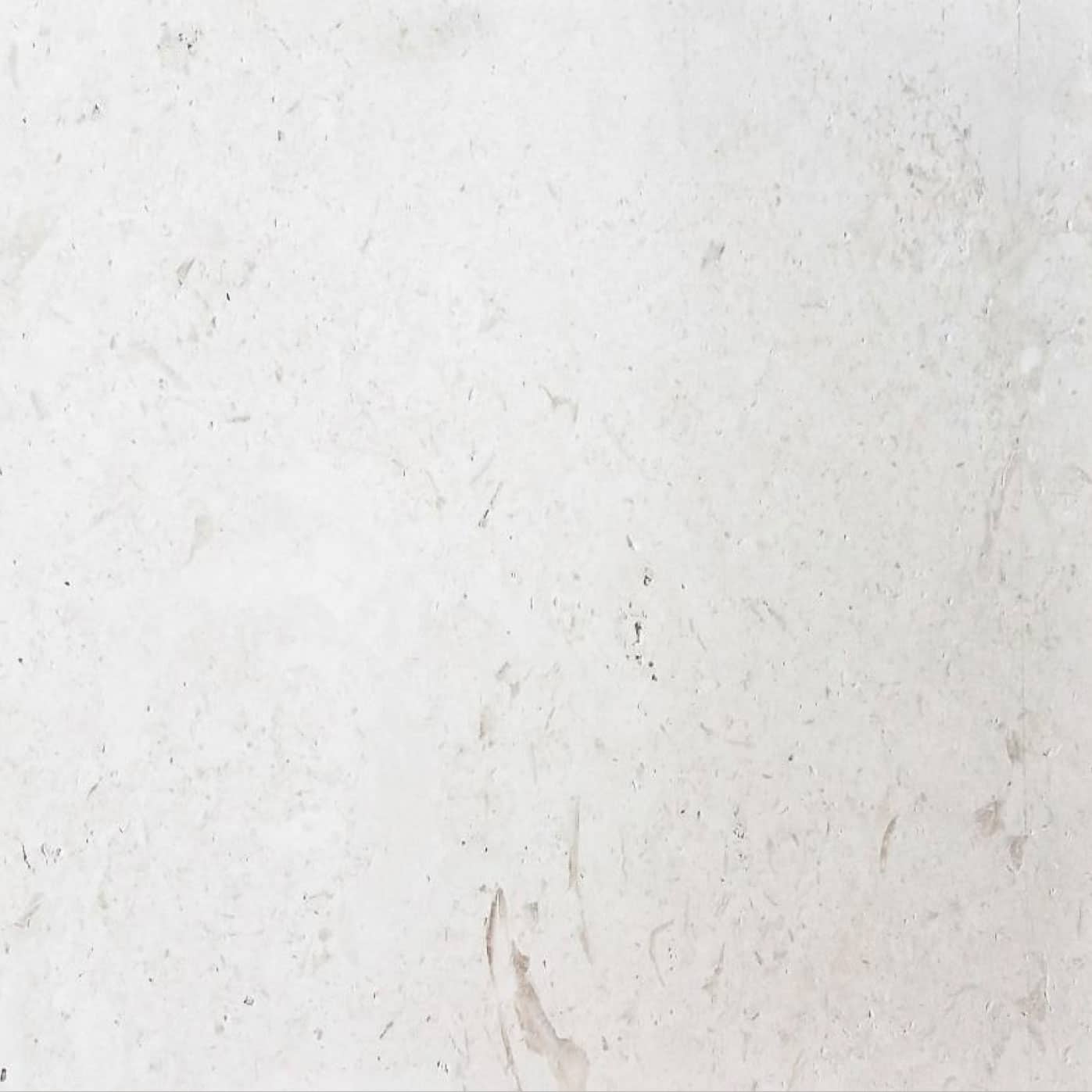 Shell Beige 16″x16″ Limestone Tile – LW Stone