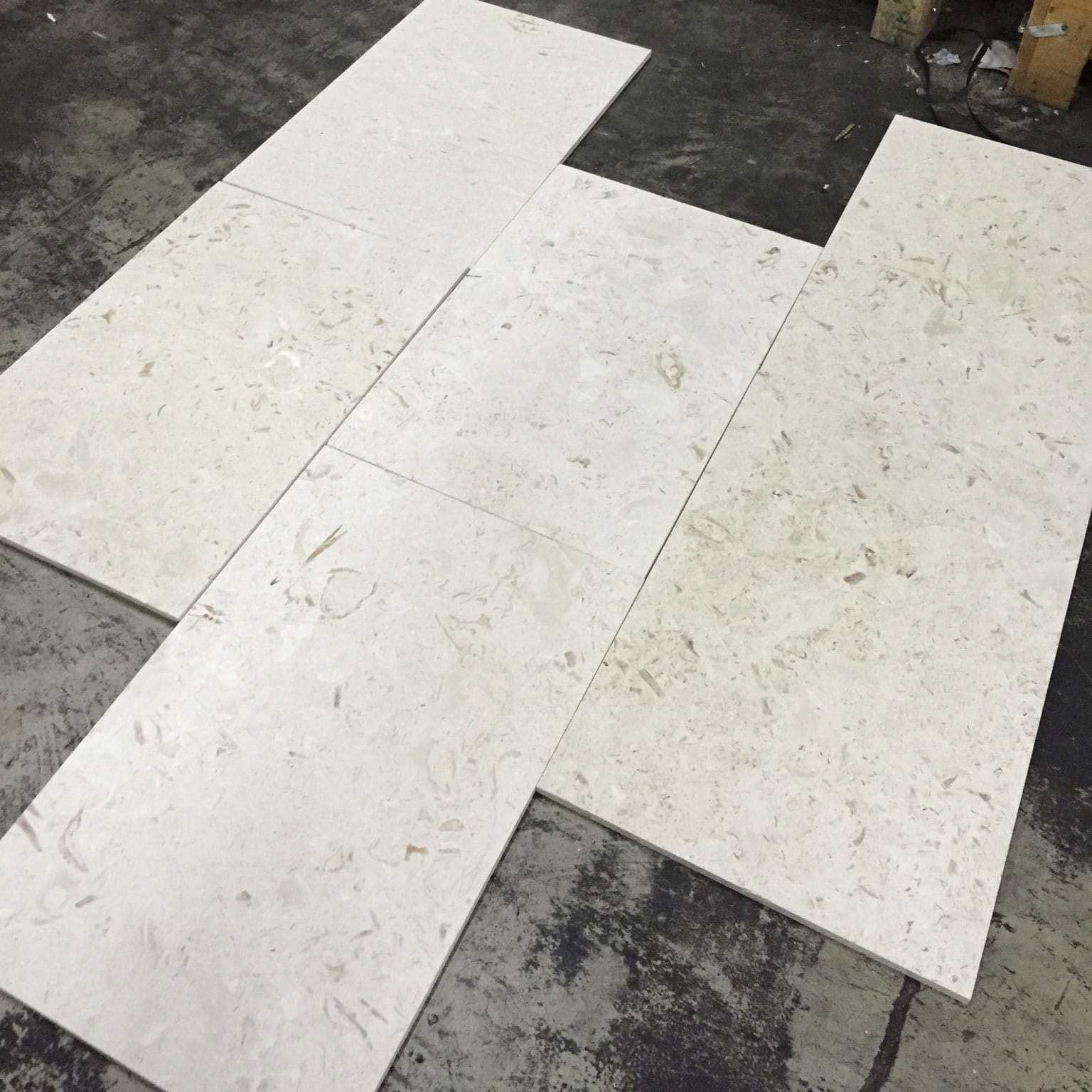 Shell Beige 16″x24″ Limestone Tile – LW Stone