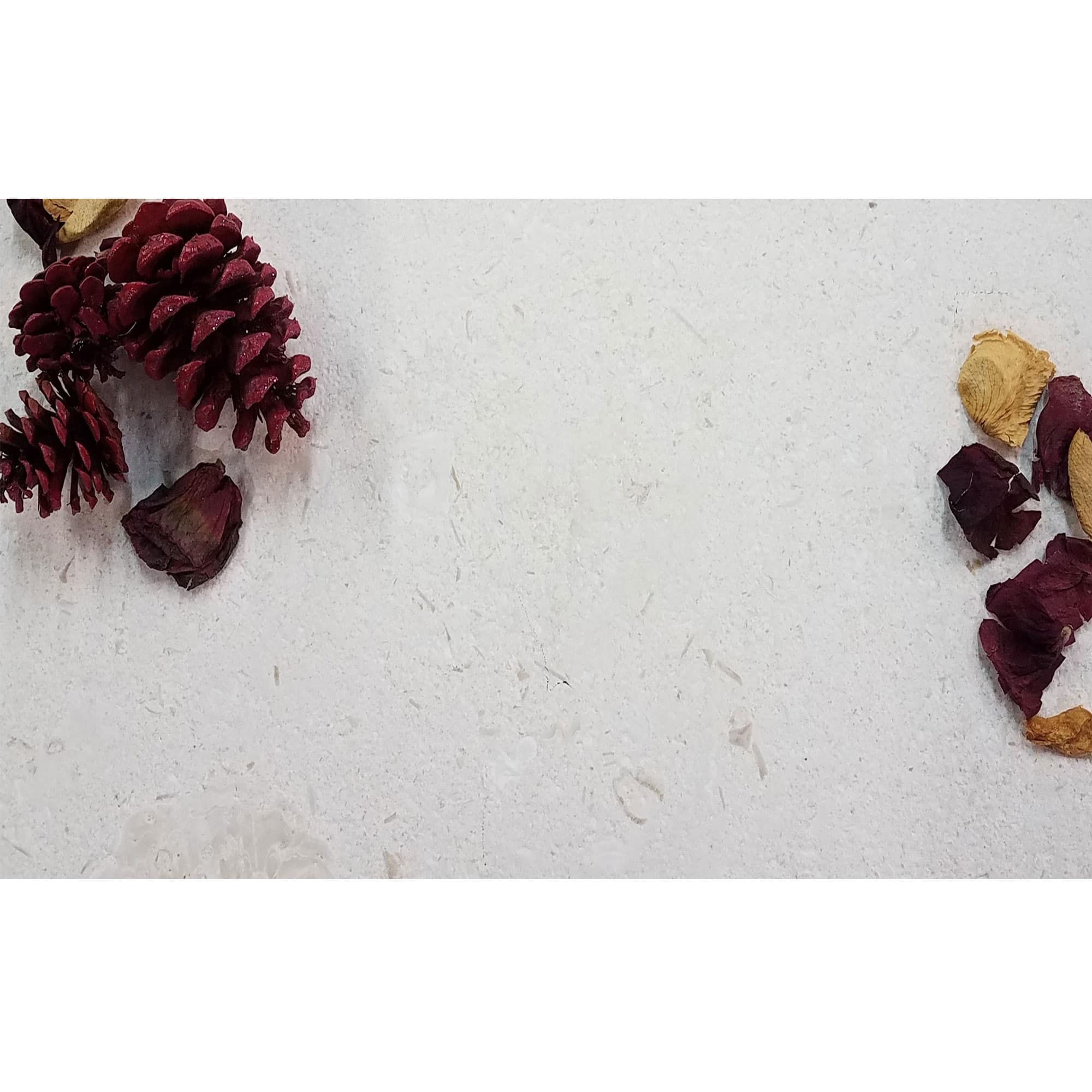 Shell Beige 16″x24″ Limestone Tile – LW Stone