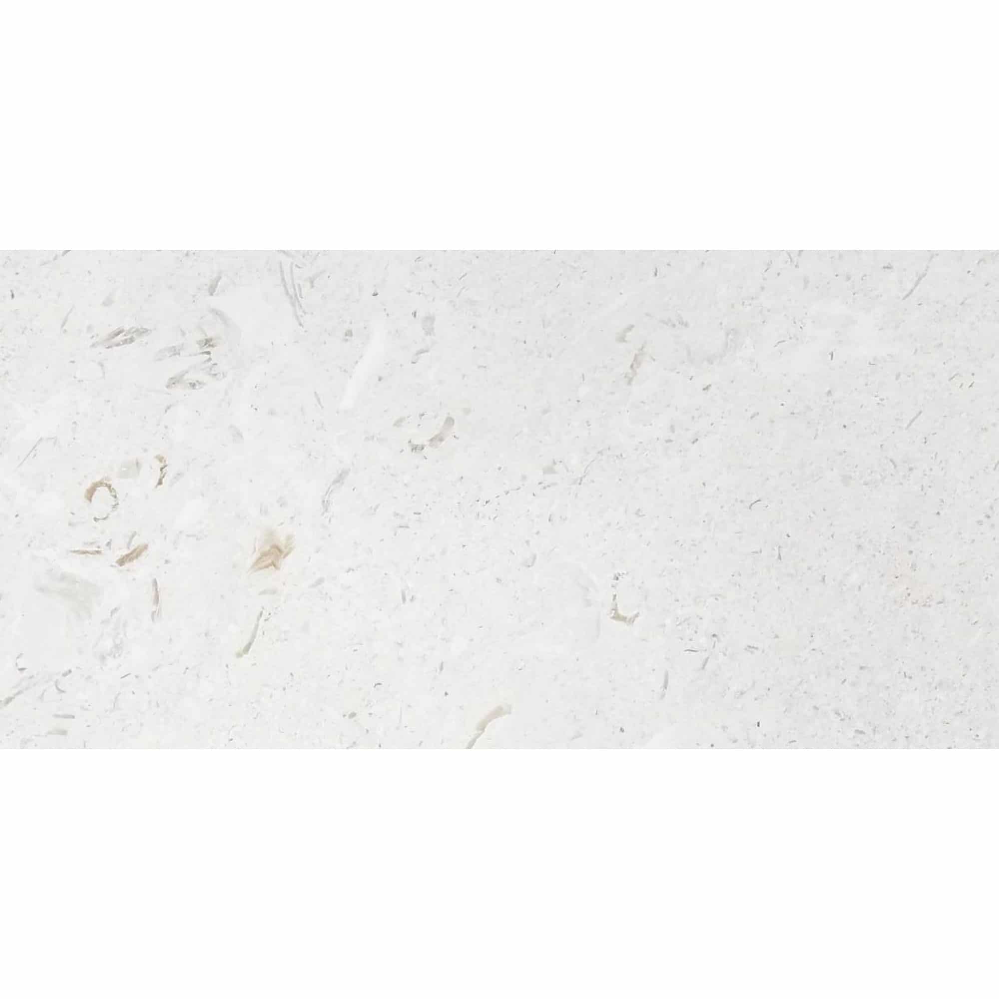Shell Beige 24″x48″ Limestone Paver – LW Stone
